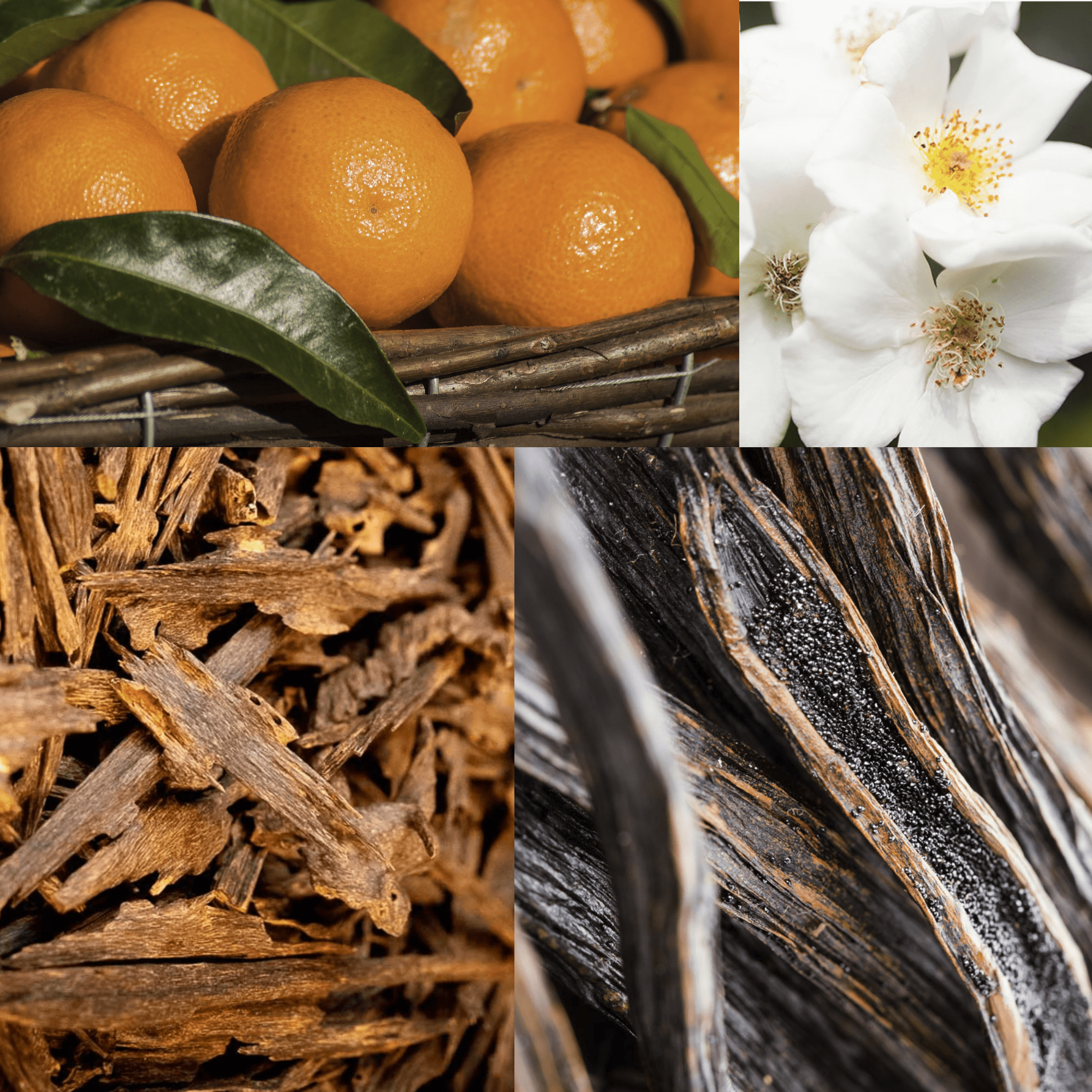 What does Mandarin & Sandalwood smell like?